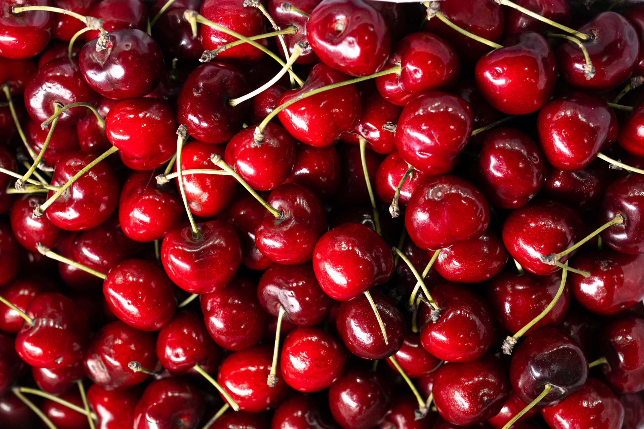 Prime produce – About - thrusthive.com