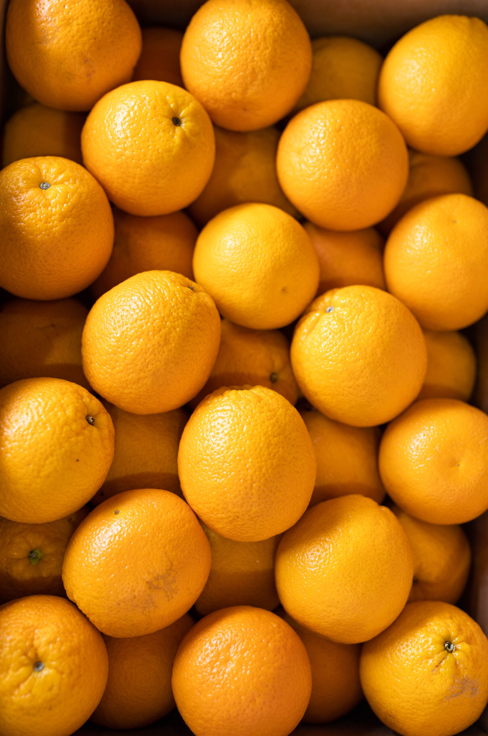Prime produce – About - thrusthive.com